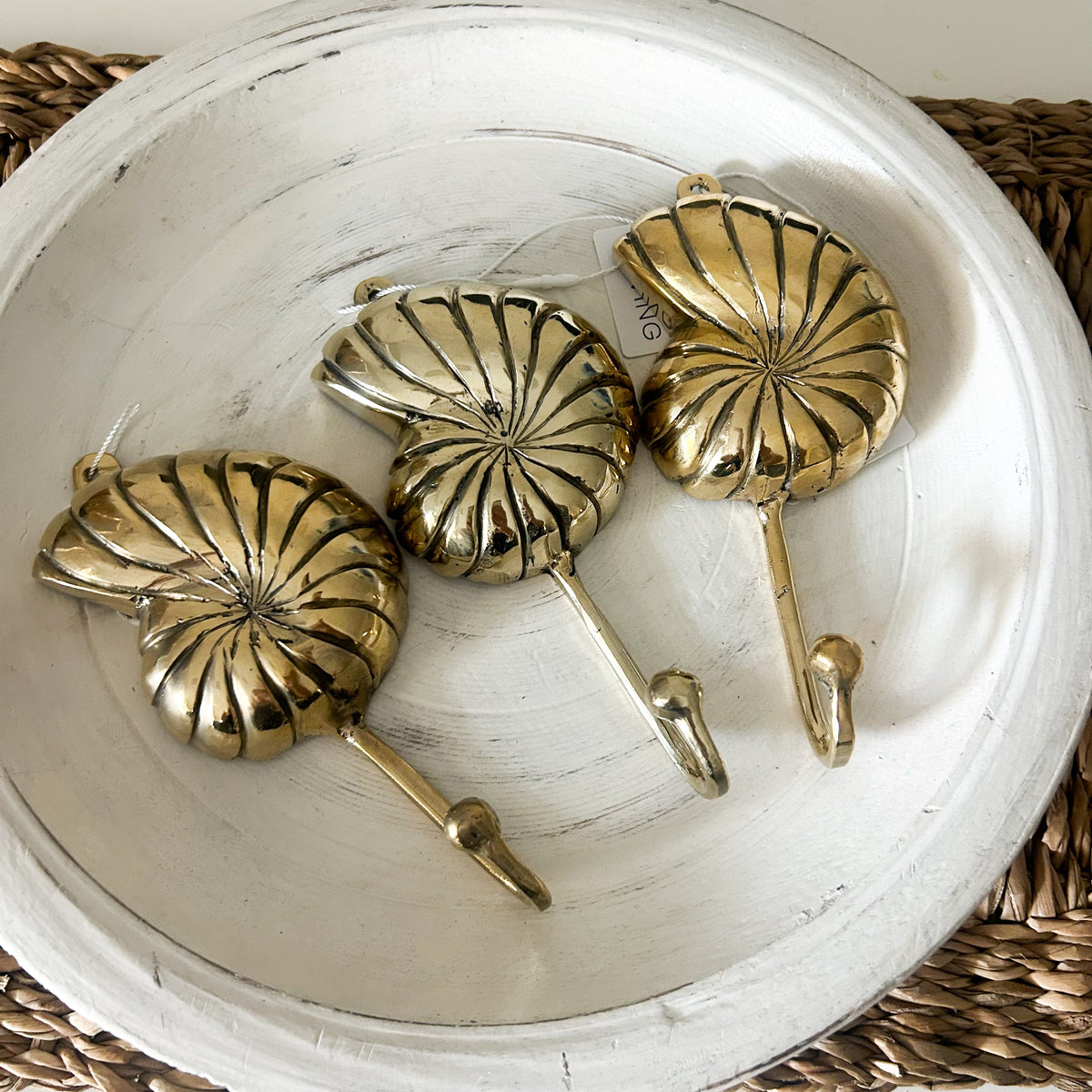 Brass Nautical Shell Wall Hook | NMP Living