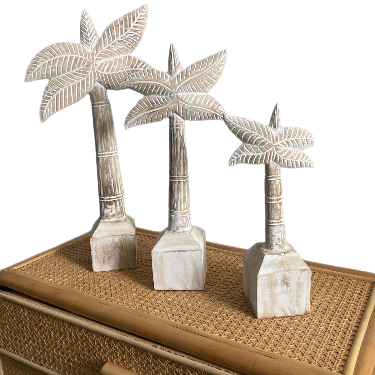 Wooden Palm Trees | NMP Living